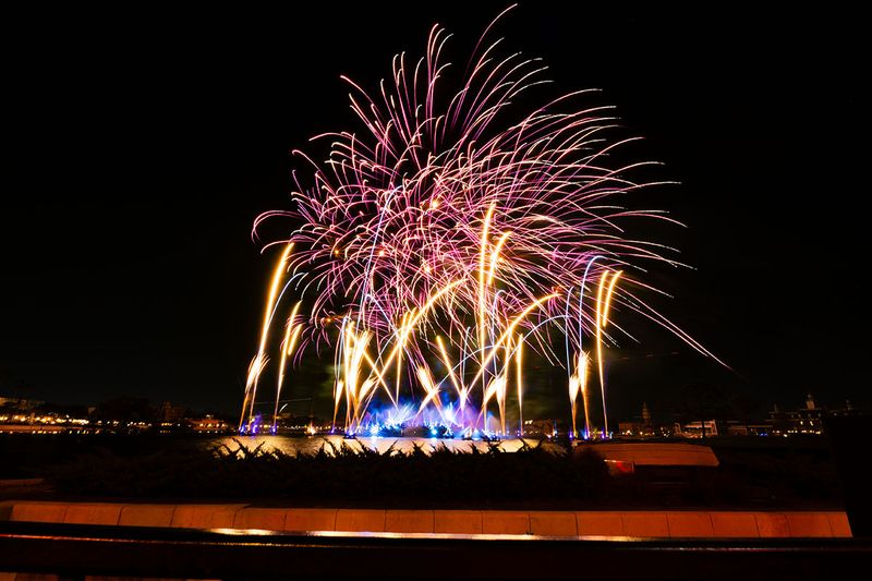 Fireworks Cruise - EPCOT : Disney Reservation Alerts