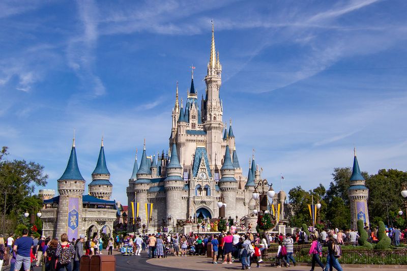 Wilderness Back Trail Adventure : Disney Reservation Alerts